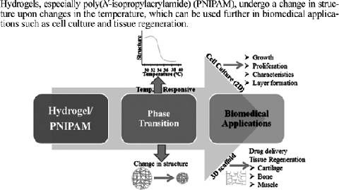 Snapshot of phase transition in thermoresponsive hydrogel PNIPAM: Role in drug delivery and ...
