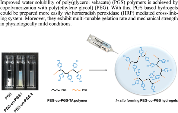 Synthesis and characterization of in situ gellable poly(glycerol ...