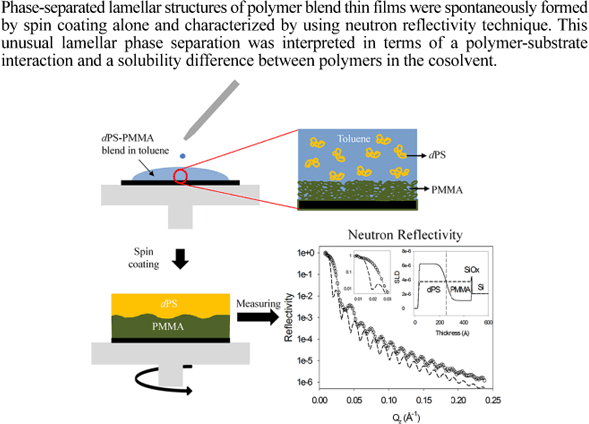 Spontaneous bilayer phase separations of spin-coated polymer blend thin ...