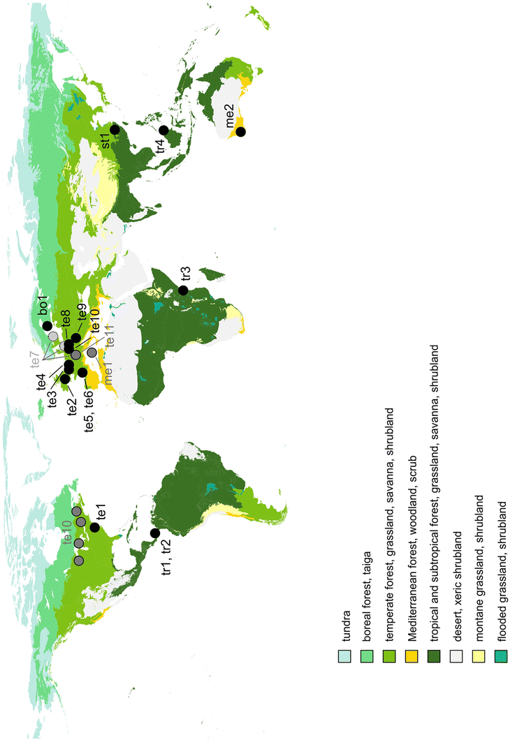 Contributions of a global network of tree diversity experiments to ...