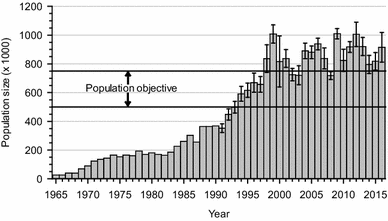 The greater snow goose Anser caerulescens atlanticus: Managing an ...
