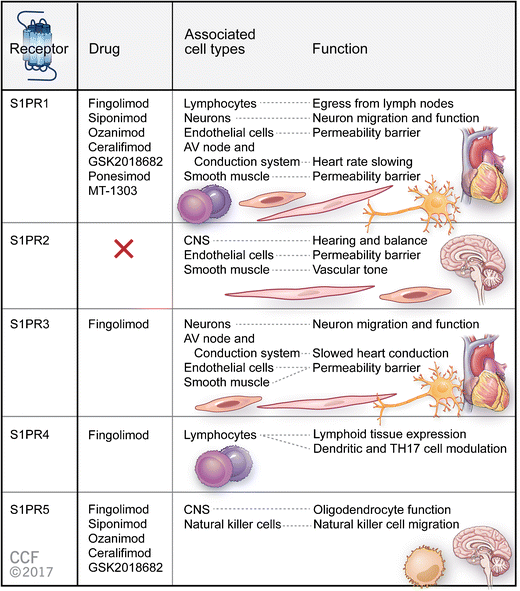 Sphingosine 1-Phosphate Receptor Modulators for the Treatment of ...