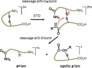 Electron Transfer Dissociation (ETD) of Peptides Containing Intrachain ...