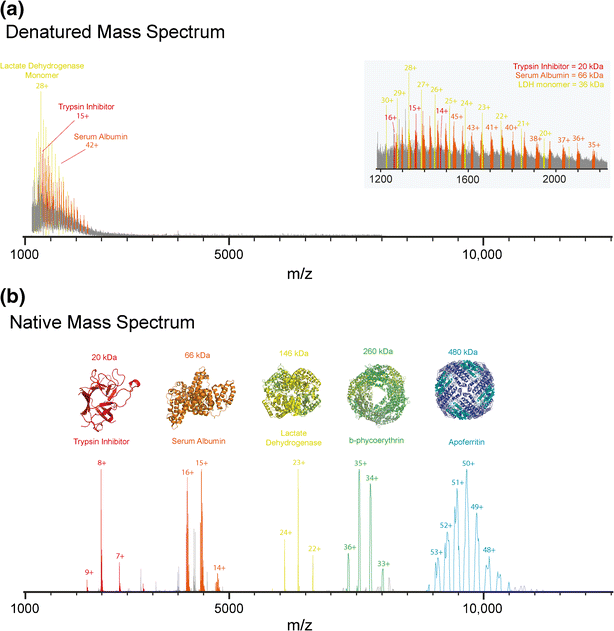 Native Mass Spectrometry: What is in the Name? | SpringerLink