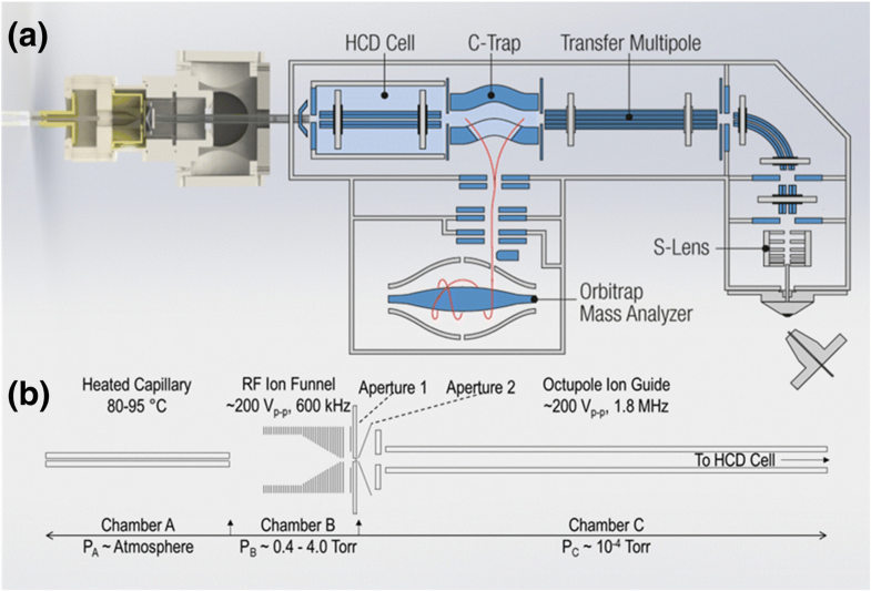 Development and Evaluation of a Reverse-Entry Ion Source Orbitrap Mass ...
