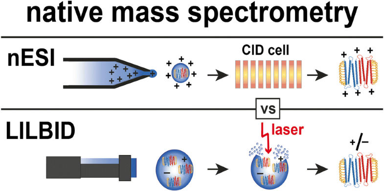 LILBID and nESI: Different Native Mass Spectrometry Techniques as Tools ...