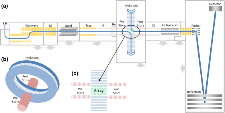 Cyclic Ion Mobility Mass Spectrometry Distinguishes Anomers and Open ...