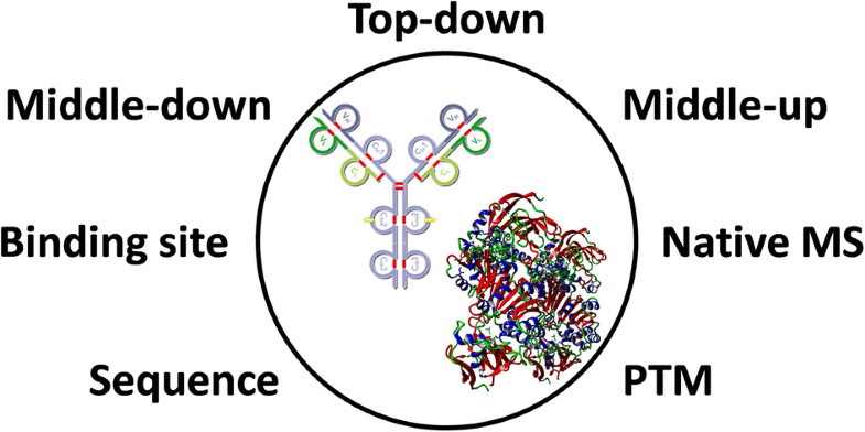 Top or Middle? Up or Down? Toward a Standard Lexicon for Protein Top ...