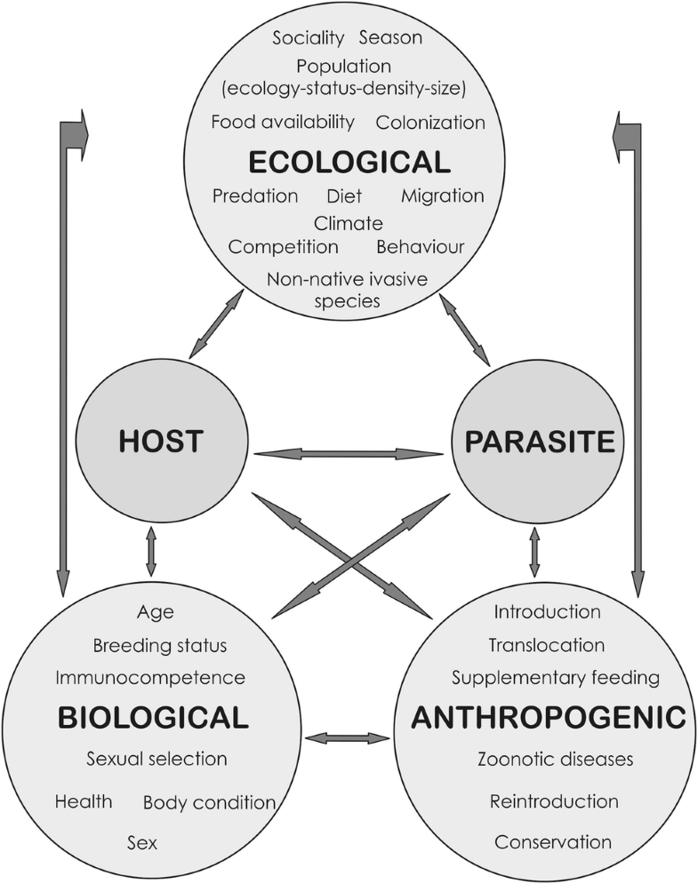 Factors affecting the spread of parasites in populations of wild ...