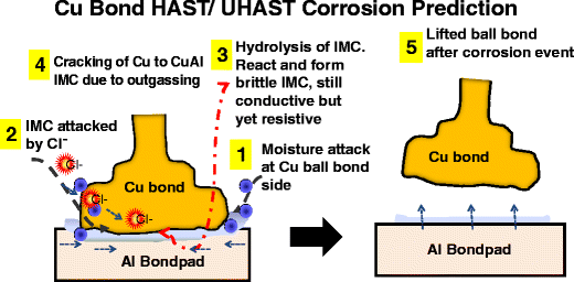 Evolution and investigation of copper and gold ball bonds in extended ...
