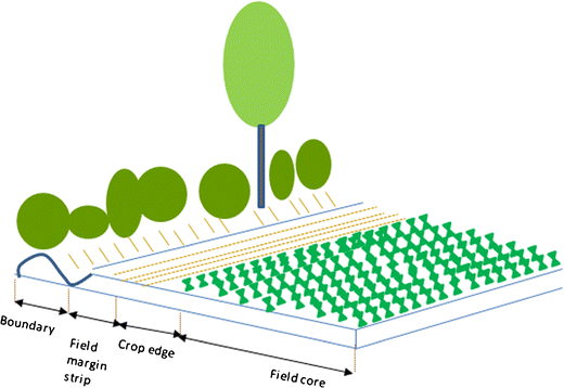 Multiple cropping systems as drivers for providing multiple ecosystem ...