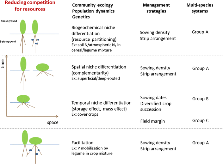 Multiple cropping systems as drivers for providing multiple ecosystem ...