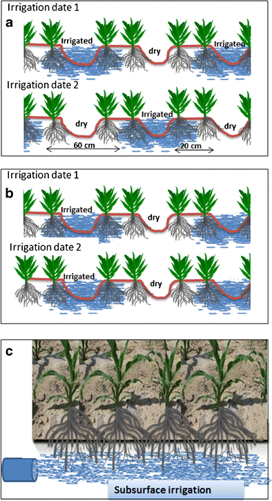 Regulated deficit irrigation for crop production under drought stress. A review | SpringerLink