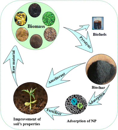 Biochar to improve soil fertility. A review | SpringerLink