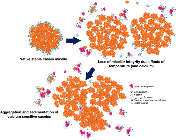 Dissociation and coagulation of caseins and whey proteins in ...