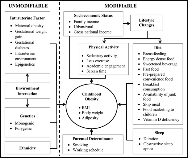 Multifactorial Influences of Childhood Obesity | SpringerLink