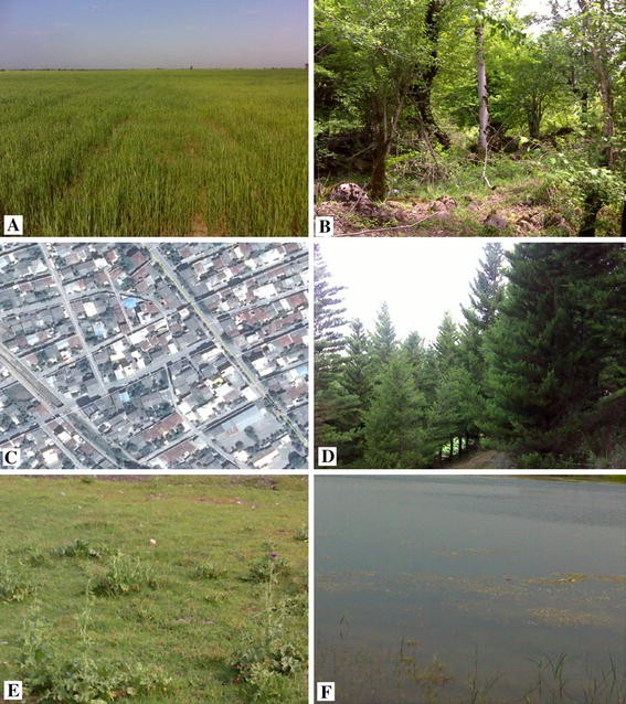 A comparison of supervised, unsupervised and synthetic land use classification methods in the ...