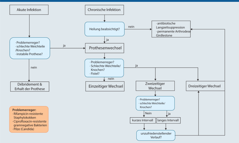 Periprothetische Infektionen: aktueller Stand der Diagnostik und ...