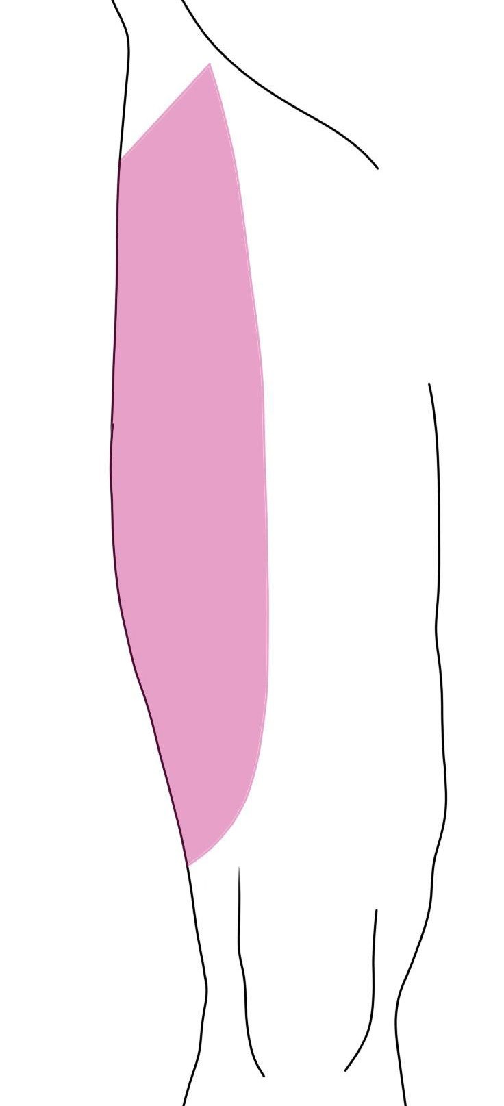 Die Meralgia paraesthetica | SpringerLink