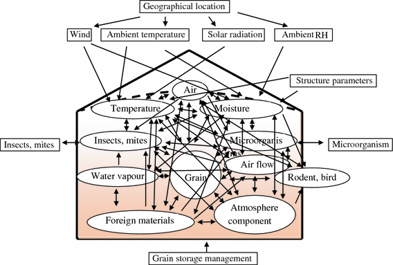 The Ecosystem Approach to Grain Storage | SpringerLink