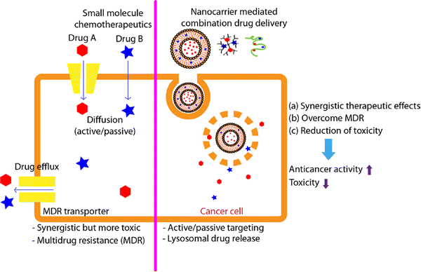 Nanoparticle-based combination drug delivery systems for synergistic ...
