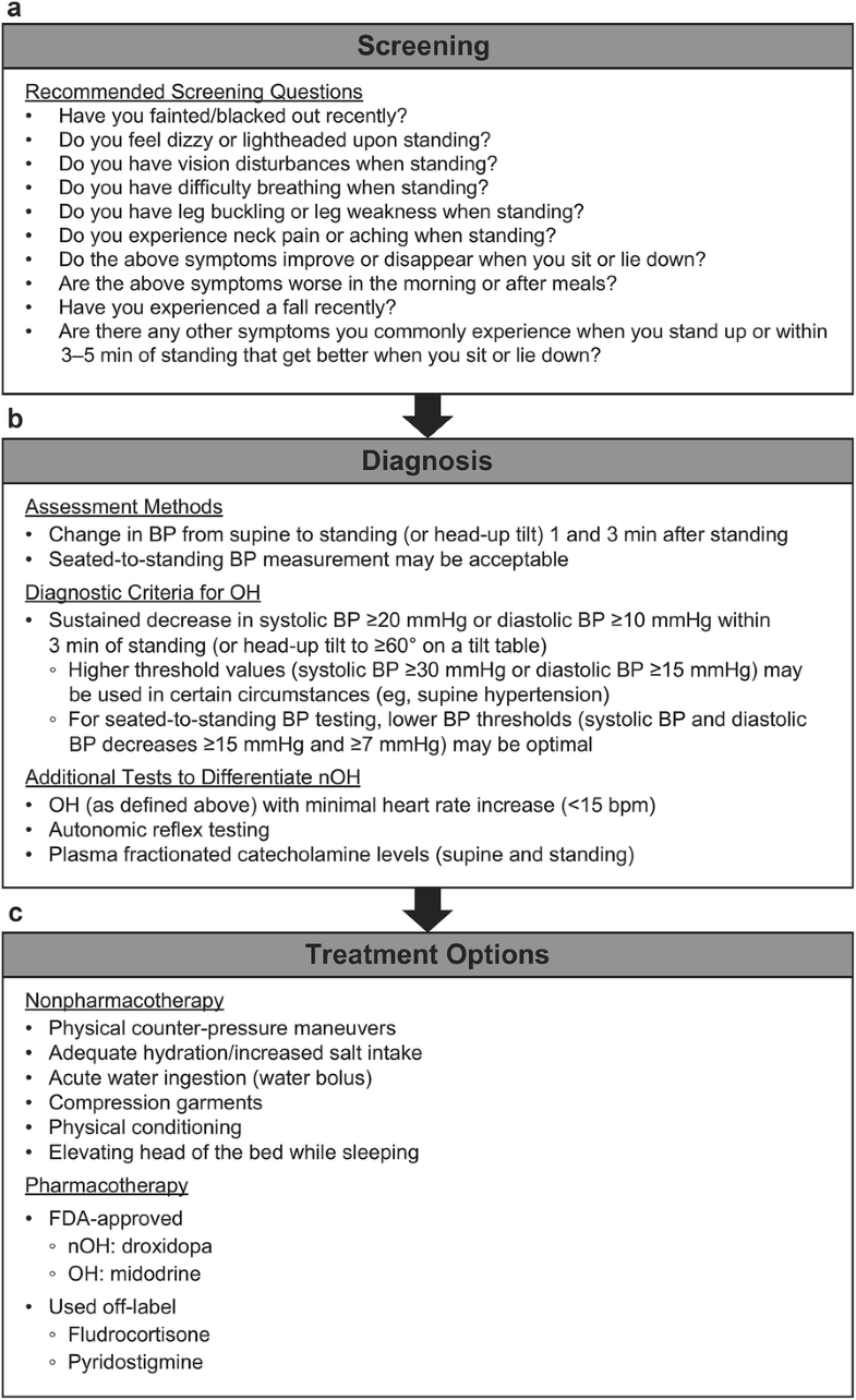 Neurogenic Orthostatic Hypotension in Parkinson Disease: A Primer ...
