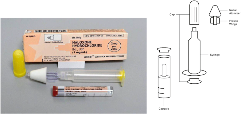 Comparative Human Factors Evaluation of Two Nasal Naloxone ...