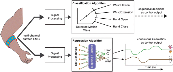 Prosthetic Myoelectric Control Strategies: A Clinical Perspective ...