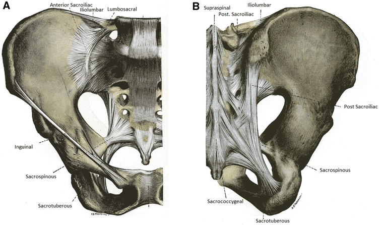 Diagnosis and Current Treatments for Sacroiliac Joint Dysfunction: A ...