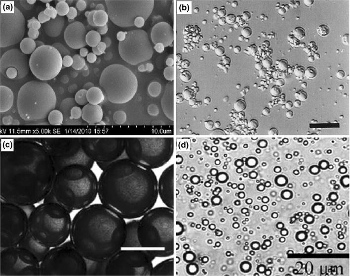 Development of microspheres for biomedical applications: a review ...