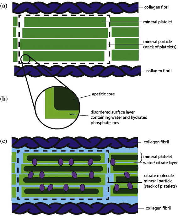 Calcium orthophosphates (CaPO4): occurrence and properties | SpringerLink