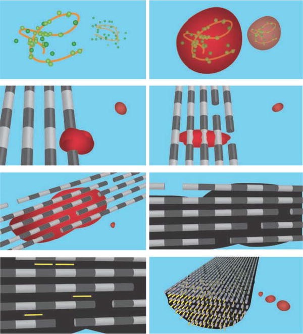 Calcium orthophosphates (CaPO4): occurrence and properties | SpringerLink