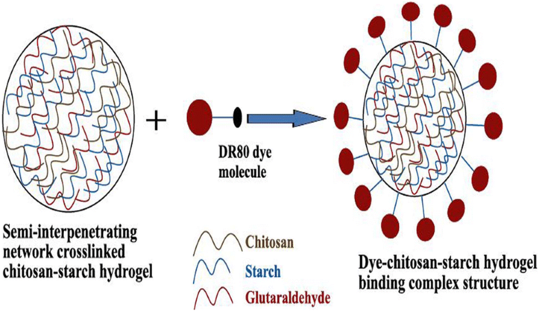 Cellulose-based hydrogel materials: chemistry, properties and their ...