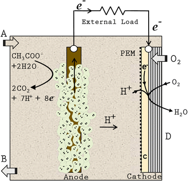 Electrode materials for microbial fuel cells: nanomaterial approach ...