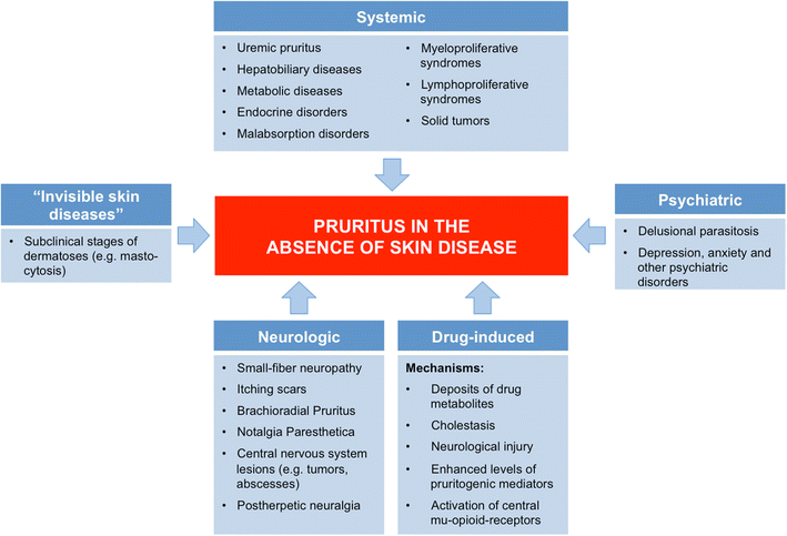 Chronic Pruritus in the Absence of Skin Disease: Pathophysiology ...