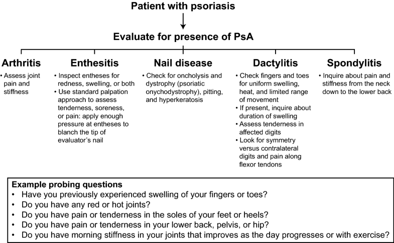 Enthesitis and Dactylitis in Psoriatic Disease: A Guide for ...