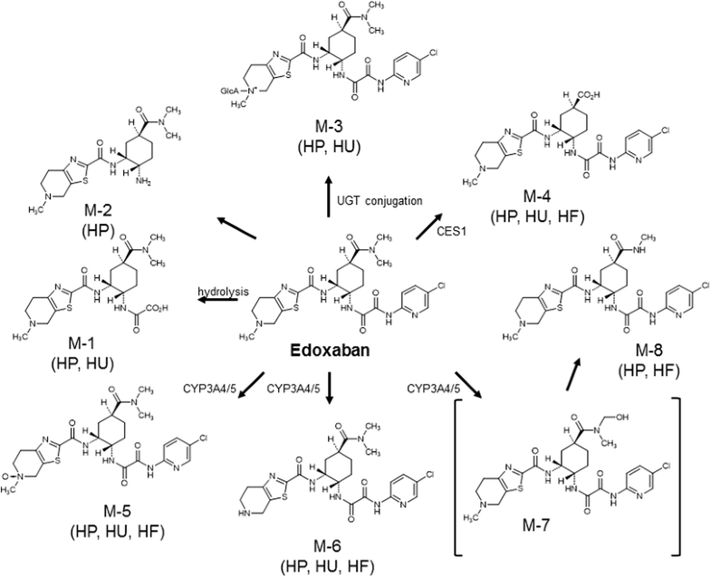 Pharmacokinetics and Pharmacodynamics of Edoxaban, a Non-Vitamin K ...