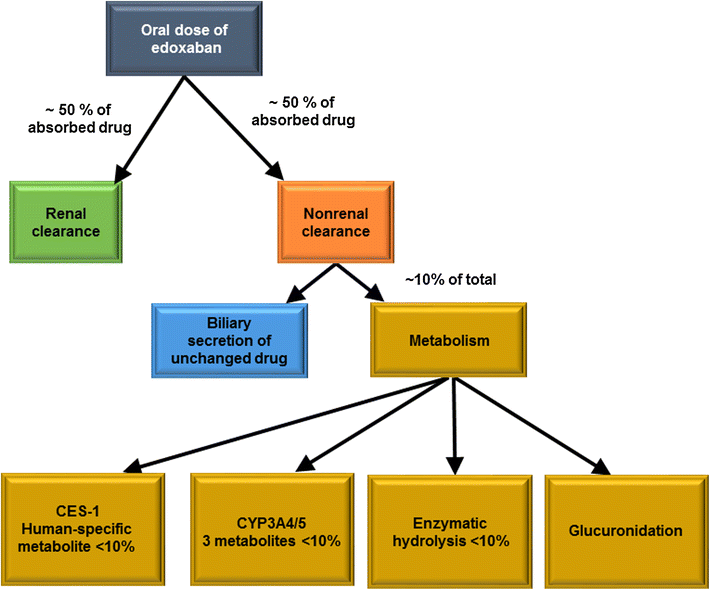 Pharmacokinetics and Pharmacodynamics of Edoxaban, a Non-Vitamin K ...