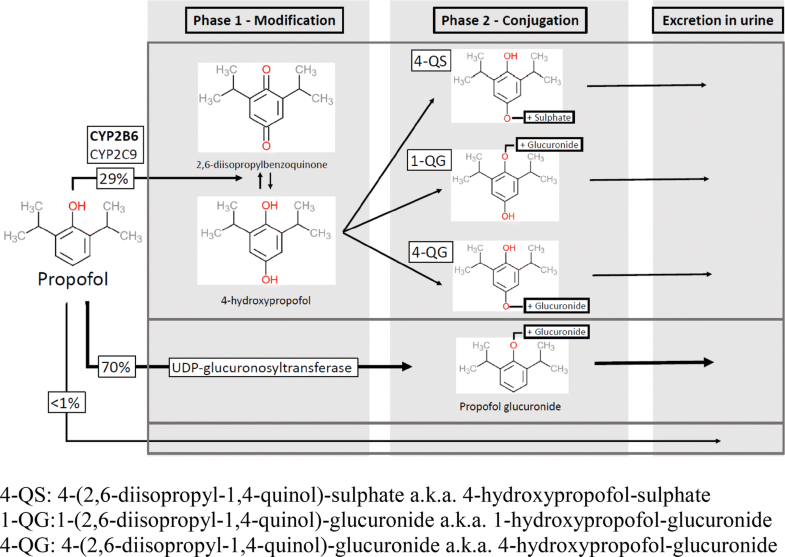 Clinical Pharmacokinetics and Pharmacodynamics of Propofol | SpringerLink