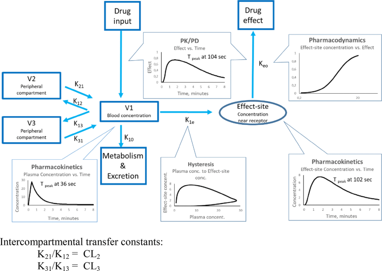 Clinical Pharmacokinetics and Pharmacodynamics of Propofol | SpringerLink