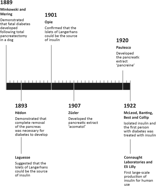 The Evolution of Insulin Glargine and its Continuing Contribution to ...