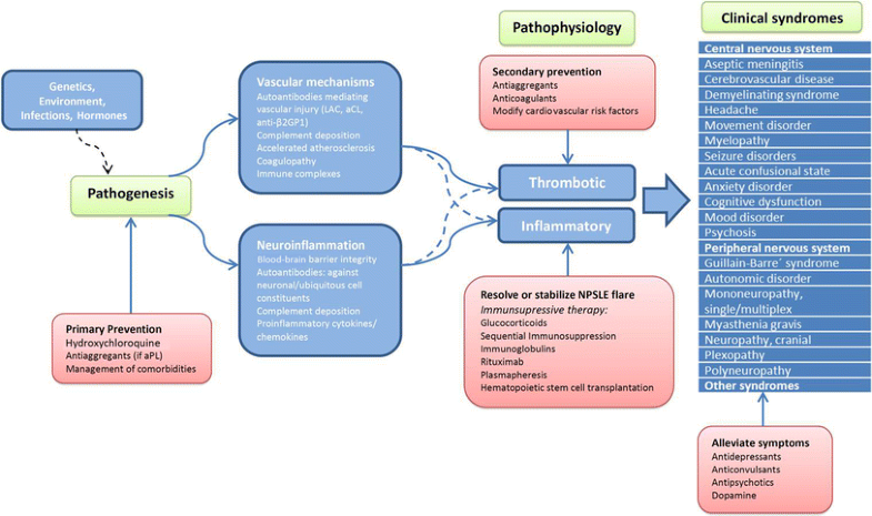 Management of Neuropsychiatric Systemic Lupus Erythematosus: Current ...