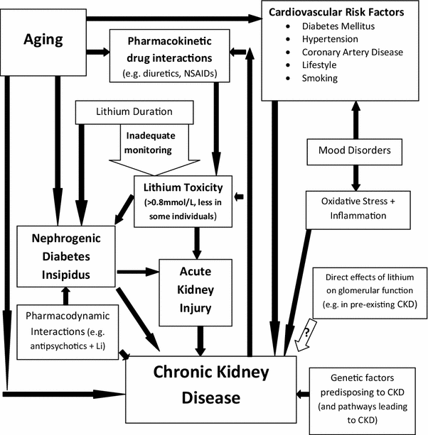 Chronic Kidney Disease in Lithium-Treated Older Adults: A Review of Epidemiology, Mechanisms ...