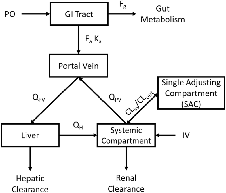 Prediction of Drug–Drug Interactions Between Opioids and Overdosed ...