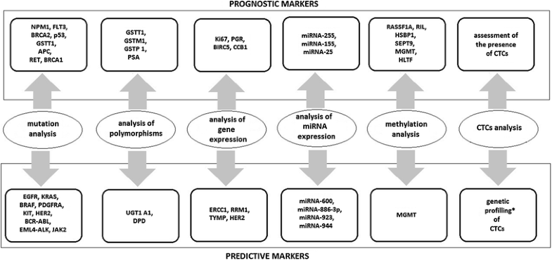 Prognostic and Predictive Biomarkers: Tools in Personalized Oncology ...