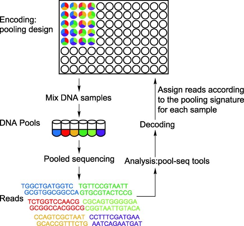 Combinatorial pooled sequencing: experiment design and decoding ...