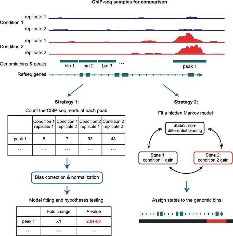 An introduction to computational tools for differential binding ...