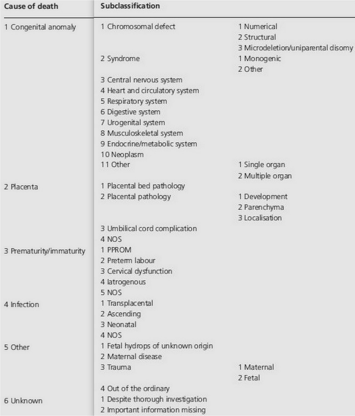 Performing a Perinatal Autopsy | SpringerLink