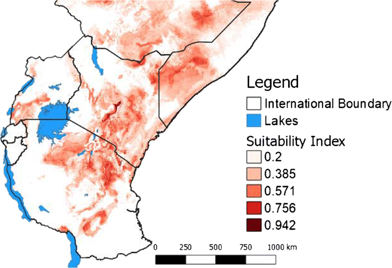 Rift Valley Fever Virus—How and Where Virus Is Maintained During Inter ...
