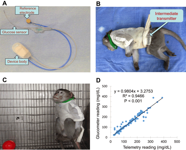 Long-term blood glucose monitoring with implanted telemetry device in ...